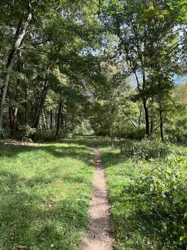 Best Hikes and Trails in River Forest Park | AllTrails