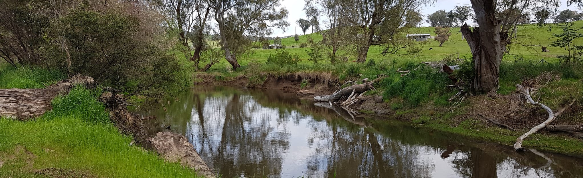 Riverglade Wetlands and Tumut River Walk: 24 Reviews, Map - New South ...