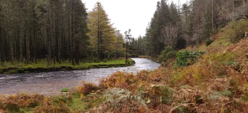 10 Best Hikes and Trails in Wild Nephin National Park | AllTrails