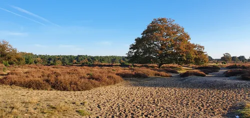 10 Best Backpacking Trails in Drentsche Aa National Park | AllTrails