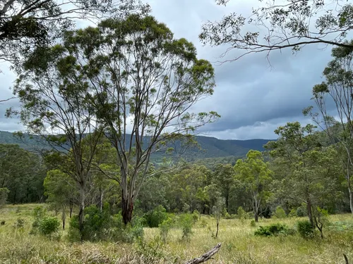 10 Best Trails and Hikes in Numinbah Valley | AllTrails