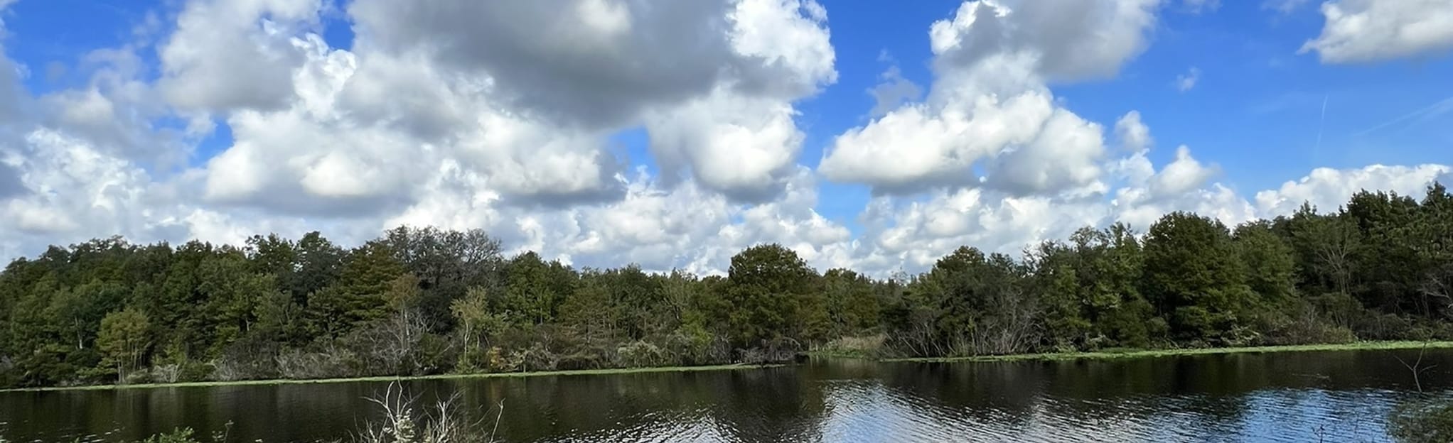 Florida Trail: Rodman Campground to Buckman Lock: 95 fotos - Florida ...