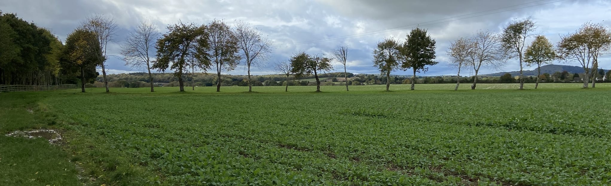 Holt Heath Circular - Worcestershire, England | AllTrails