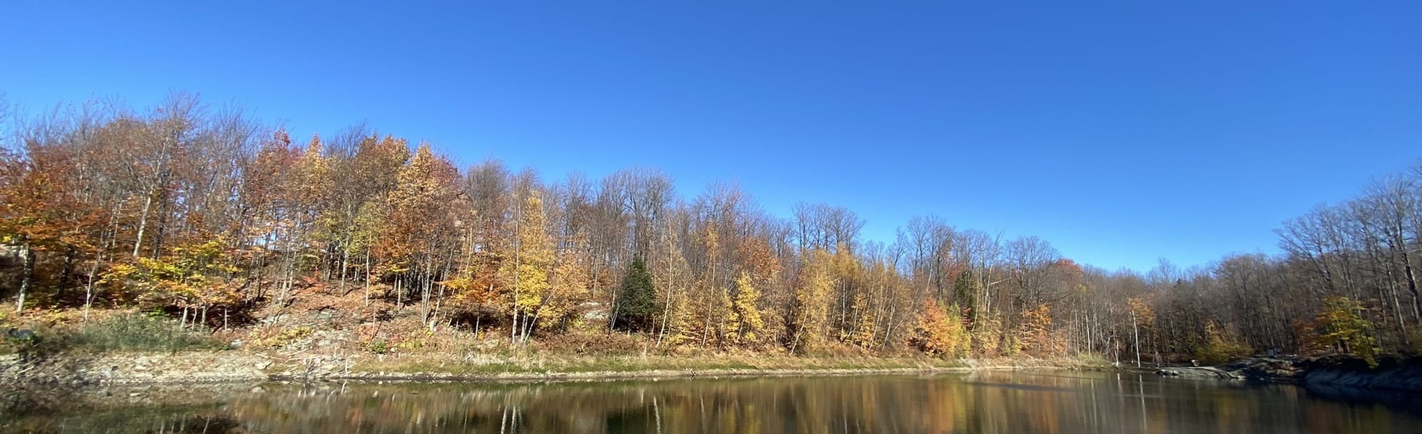 Bear Trail: 20 Reviews, Map - Quebec, Canada | AllTrails