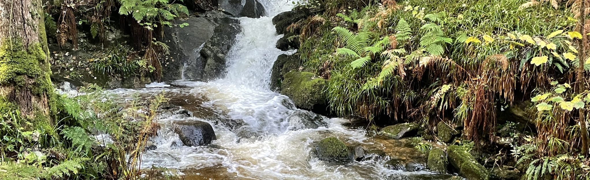 Dhoon Glen, Garff, Isle of Man - 14 Reviews, Map | AllTrails