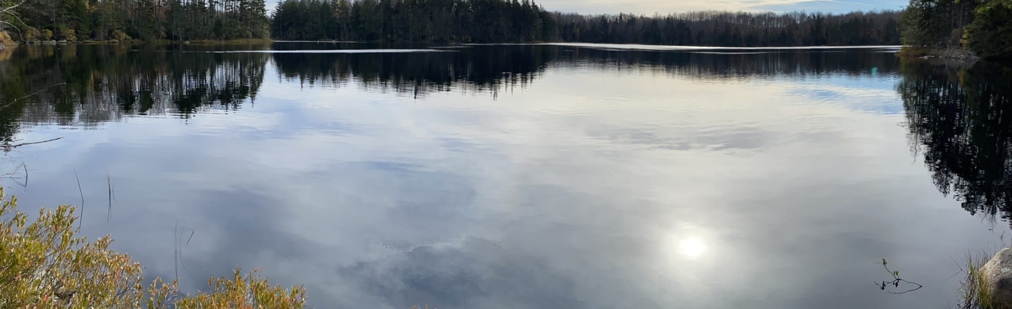 Gull Lake Trail: 128 Reviews, Map - New York | AllTrails