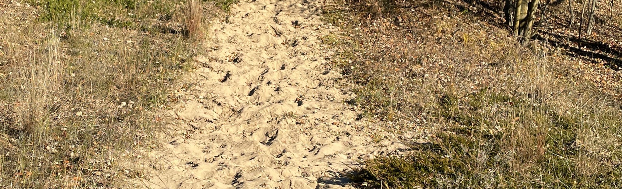 Fertile Sand Hills South and West Ski Trails | Map, Guide - Minnesota ...