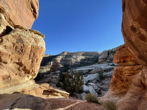 10 Best Trails and Hikes in Grand Junction | AllTrails