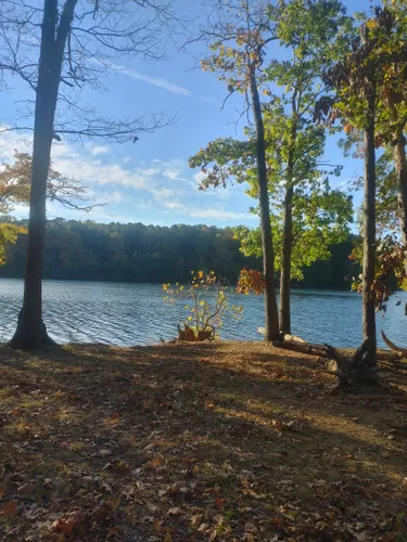 10 Best Lake Trails in Loch Raven Reservoir | AllTrails