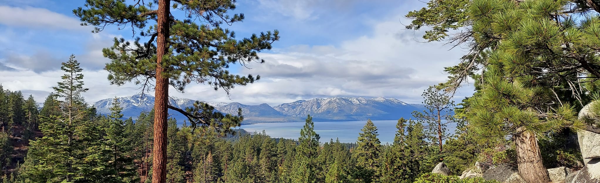 Cal-Neva Loop via Van Sickle Trail: 616 Reviews, Map - Nevada | AllTrails