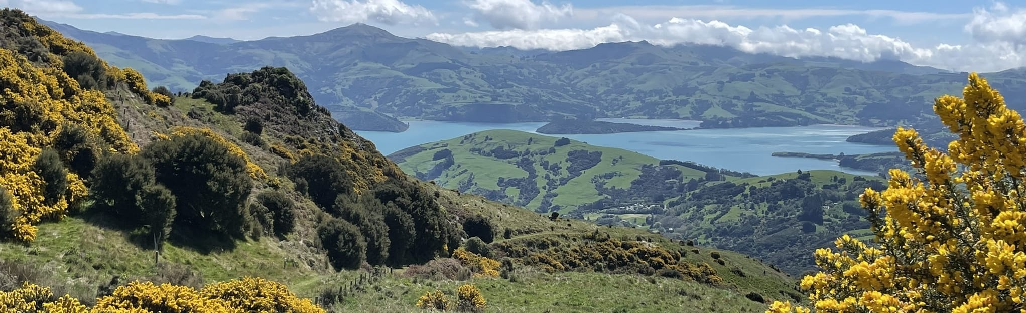 Stoney Bay Peak Track: 82 Reviews, Map - Canterbury, New Zealand ...