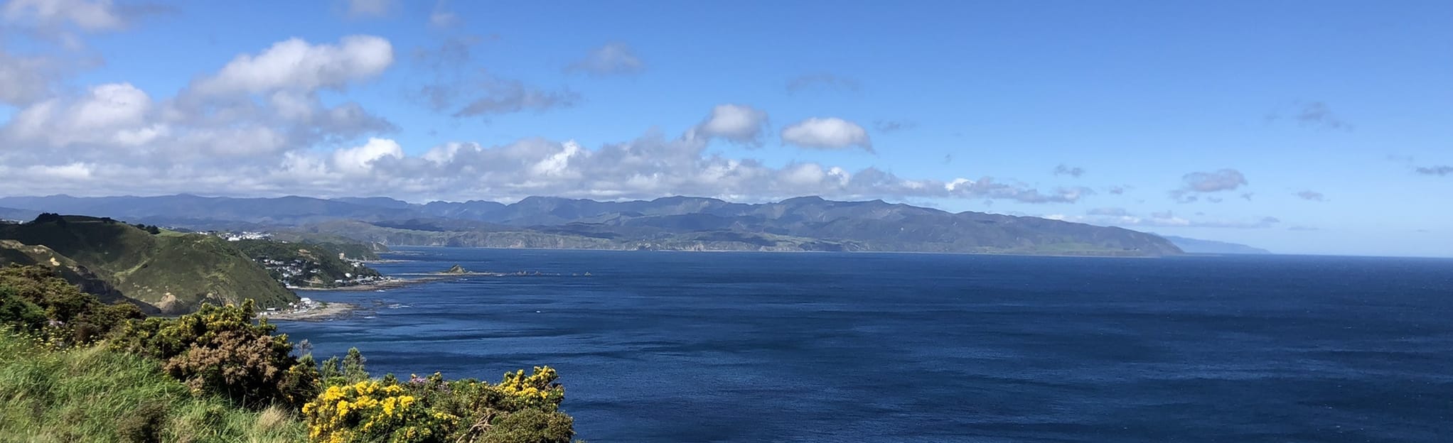 Pari-Whero (Red Rocks) Loop - Wellington, New Zealand | AllTrails