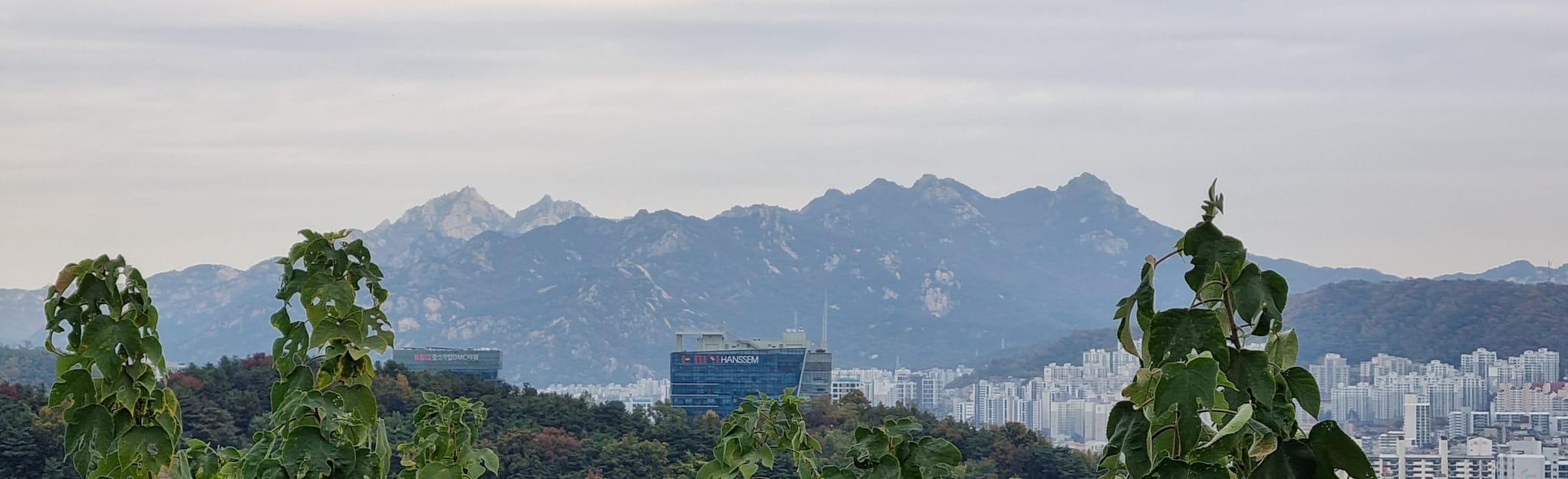 Noeul Park Loop - Seoul, South Korea | AllTrails