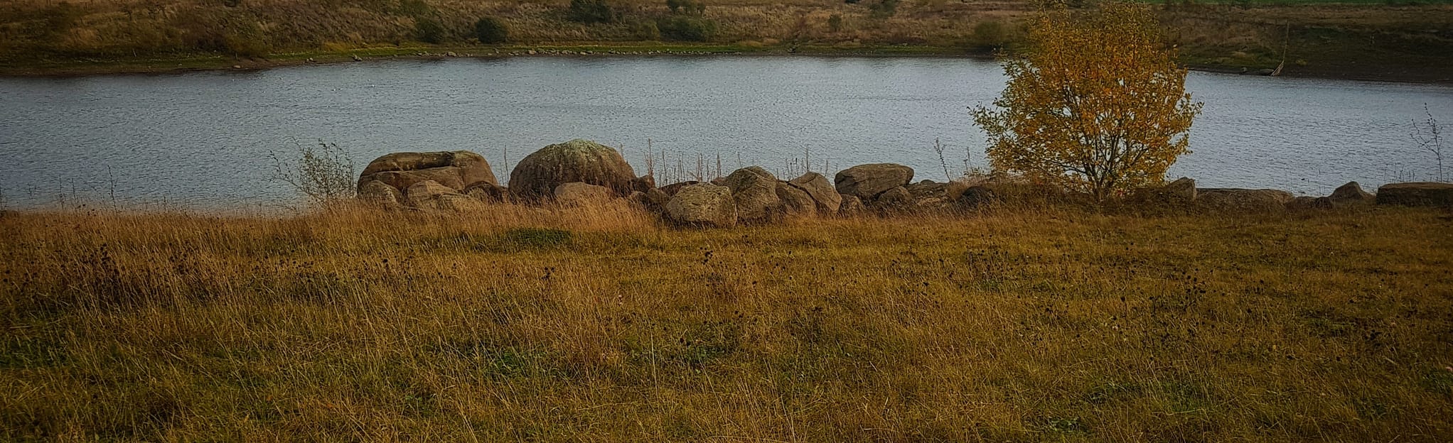 Pegswood Moor Country Park - Northumberland, England | AllTrails
