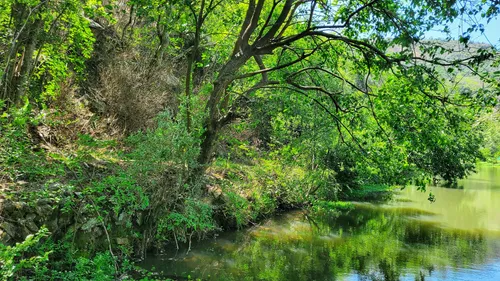 Best Lake Trails in Mogale City NU | AllTrails