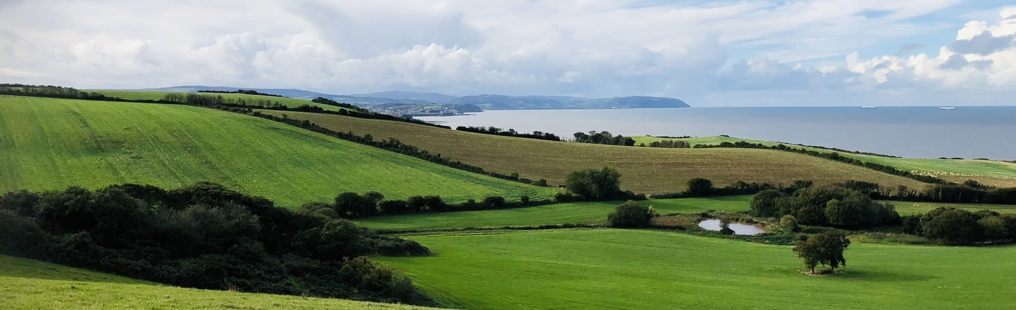 Kilve Circular, Somerset, England - 7 Reviews, Map | AllTrails