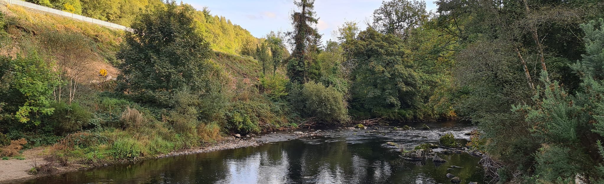 Rathdrum, Avondale and Ballygannon Wood Loop: 104 Reviews, Map - County ...