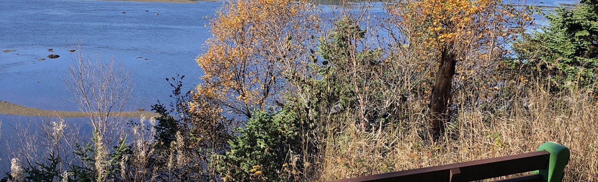 Cleary Hiking Trail: 10 Reviews, Map - Newfoundland and Labrador ...