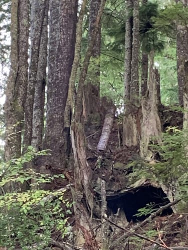 Best Hikes and Trails in Bere Point Regional Park | AllTrails