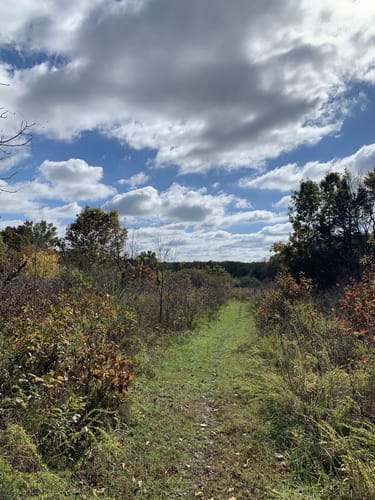 2023 Best 10 Long Trails in Mark Twain National Forest | AllTrails