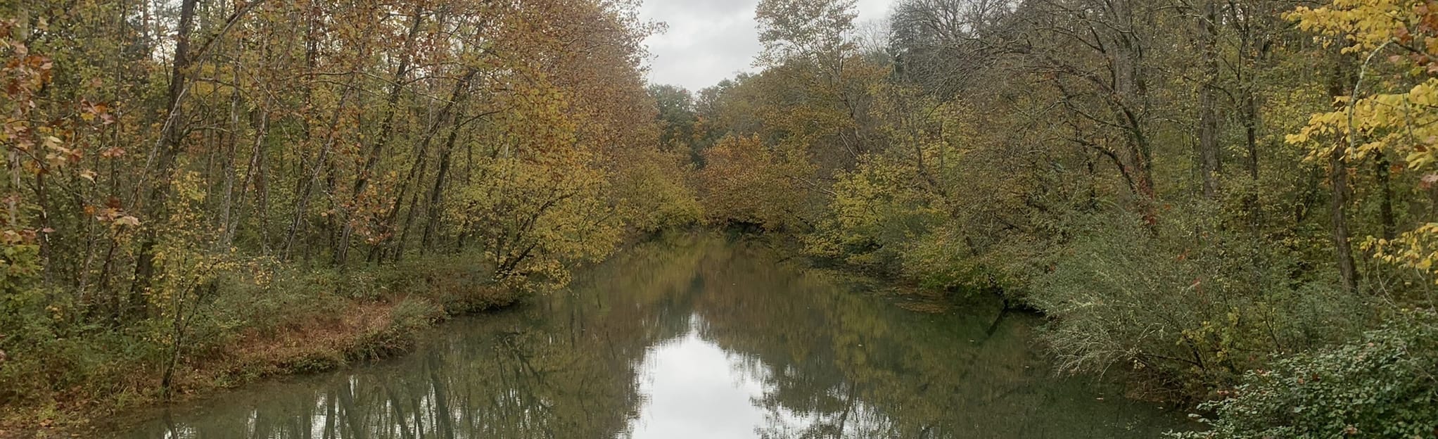 Poplar Creek Trail: 88 Reviews, Map - Tennessee | AllTrails