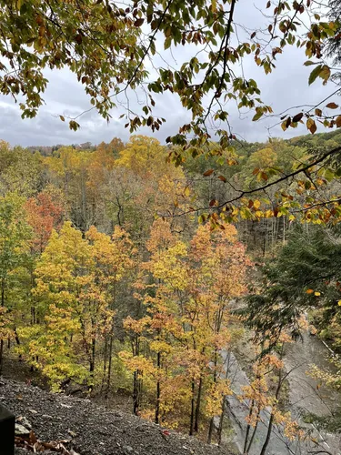 Best Hikes and Trails in Hell Hollow Wilderness Area | AllTrails