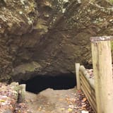 Peg Leg Mine Trail, Tennessee - 79 Reviews, Map | AllTrails