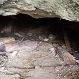 Peg Leg Mine Trail, Tennessee - 79 Reviews, Map | AllTrails