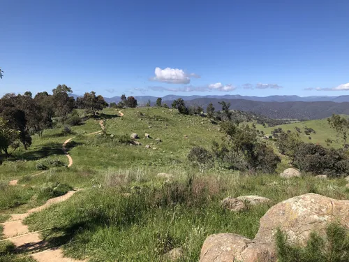 10 Best Hikes and Trails in Cooleman Ridge Nature Reserve | AllTrails