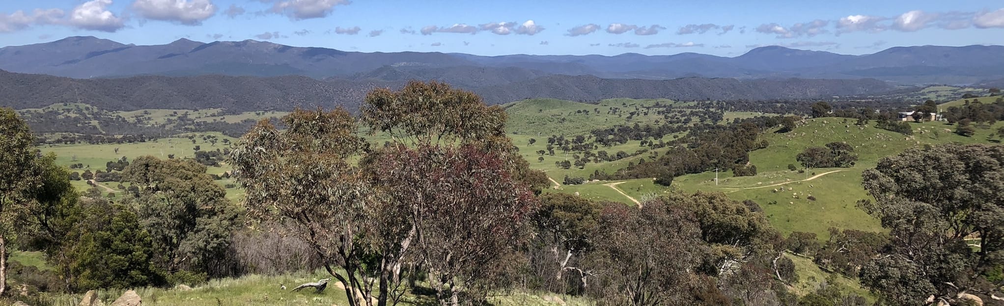 Mount Arawang Northern Loop: 14 Reviews, Map - Australian Capital ...