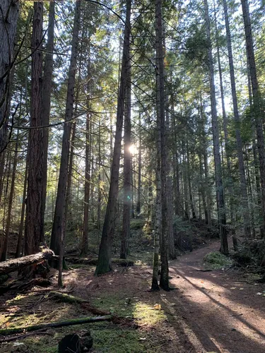 Best Hikes and Trails in Yellow Point Park | AllTrails