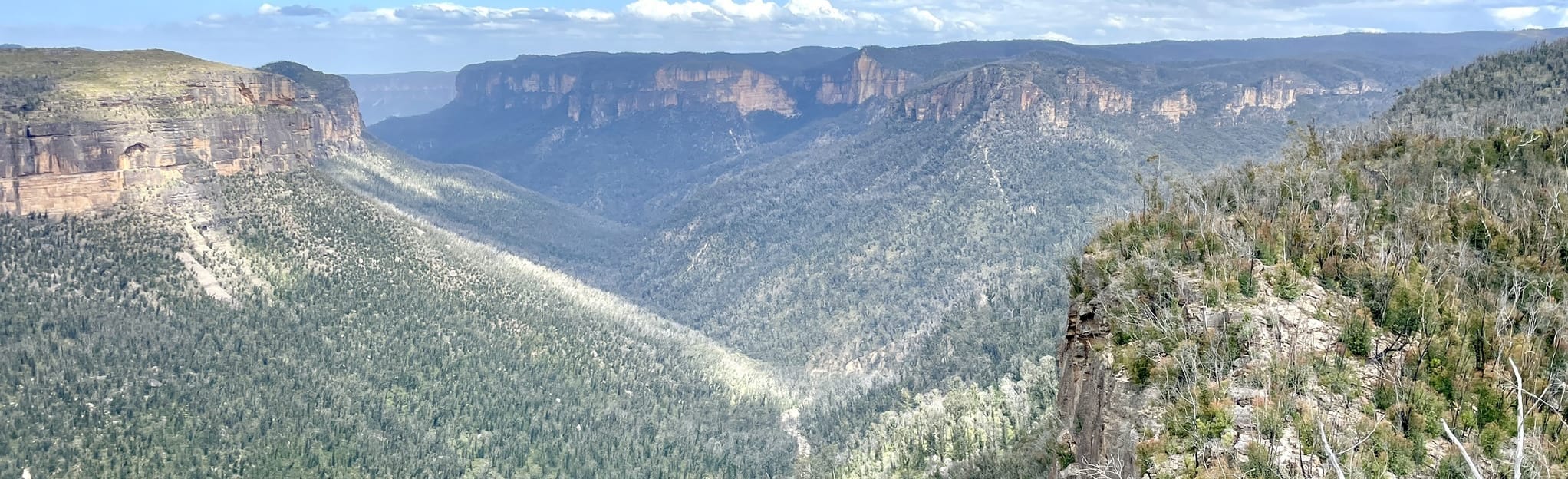 Asgard Swamp Track: 96 Reviews, Map - New South Wales, Australia ...