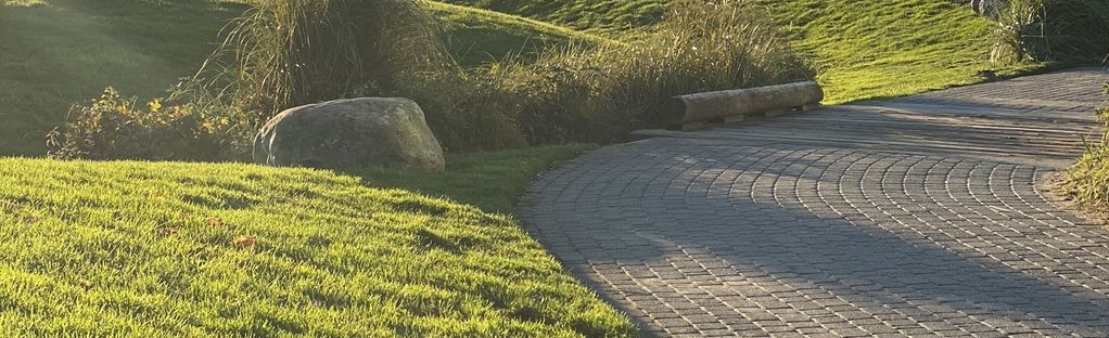 Are Dogs Allowed At Edmonds Beach