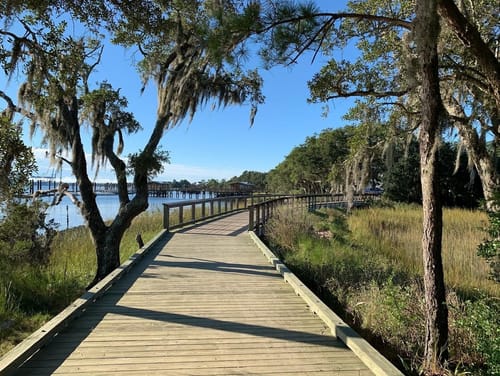 Best Hikes and Trails in Daniel Island Park | AllTrails