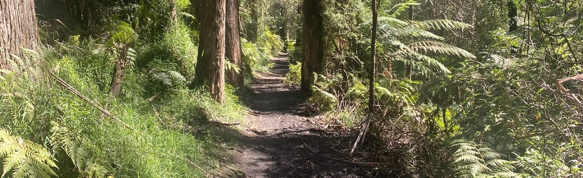 Backstairs Track, La La Falls and Boinga Bob's Place: 52 Reviews, Map ...