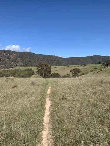 Best River Trails in Bullen Range Nature Reserve | AllTrails