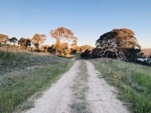 Best Forest Trails in Googong Foreshores | AllTrails