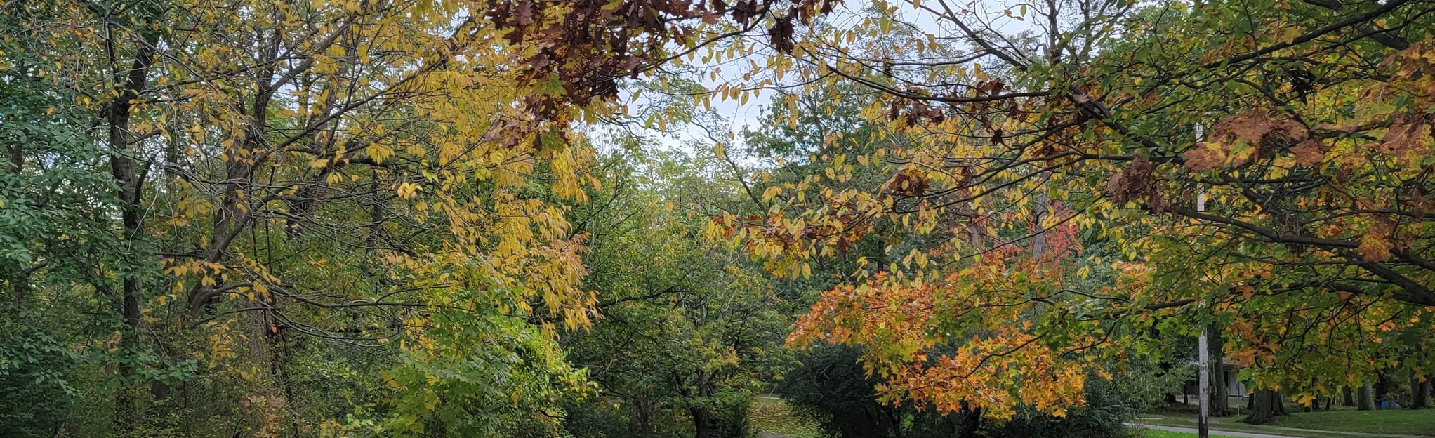 Upper Shaker Lake Trail | Map, Guide - Ohio | AllTrails