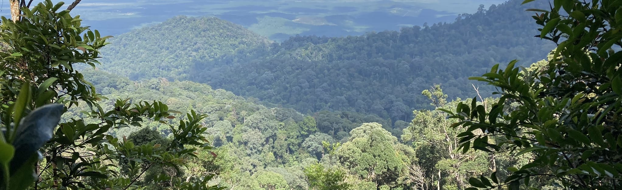 Gunung Pulai Middle Waterfall Extended Trail, Johor, Malaysia - 4 ...