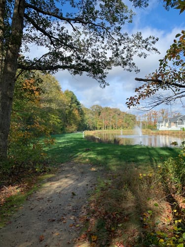 2023 Best 10 Walking Trails in Lewes | AllTrails
