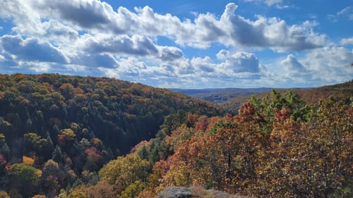 Best Hikes and Trails in Mattatuck State Forest | AllTrails