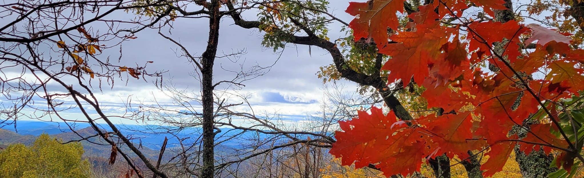Blowing Rock Park Loop: 19 Reviews, Map - North Carolina | AllTrails