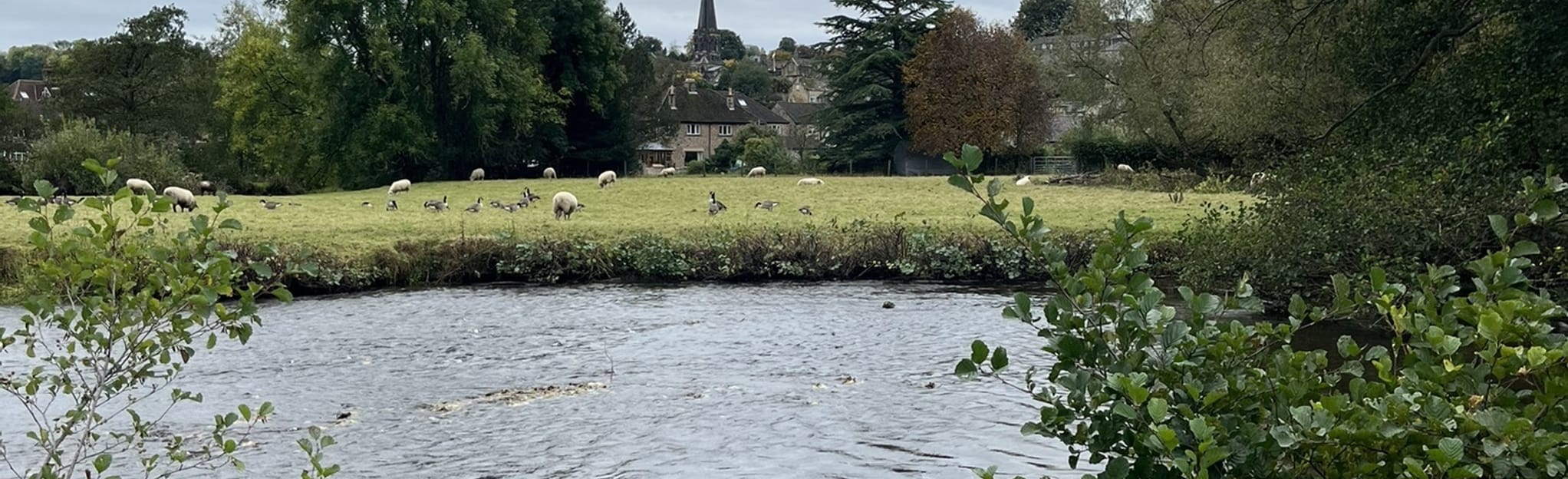 Bakewell and the River Wye Circular: 7 Reviews, Map - Derbyshire ...