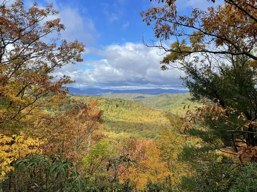 Best Hikes and Trails in Thunder Ridge Wilderness | AllTrails