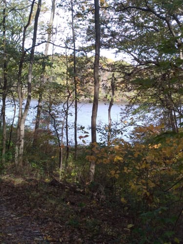 Best Hikes and Trails in Morrison-Rockwood State Park | AllTrails