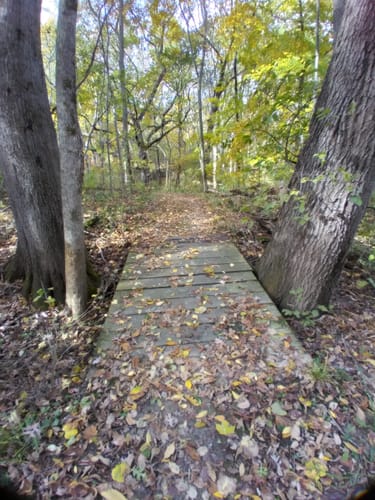 Best Hikes and Trails in Morrison-Rockwood State Park | AllTrails