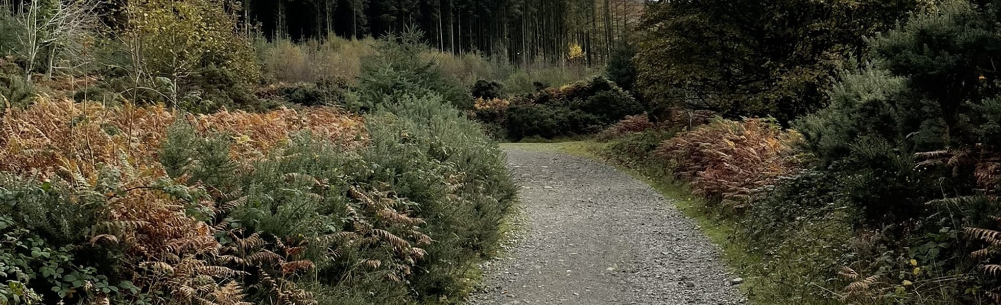 Lumpers Loop: 183 Fotos - County Louth, Irland | AllTrails