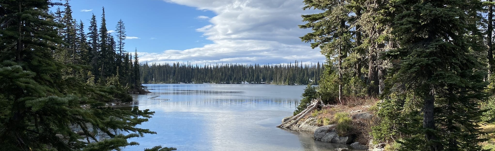 Sand Ridge Trail: 42 foto's - Washington | AllTrails