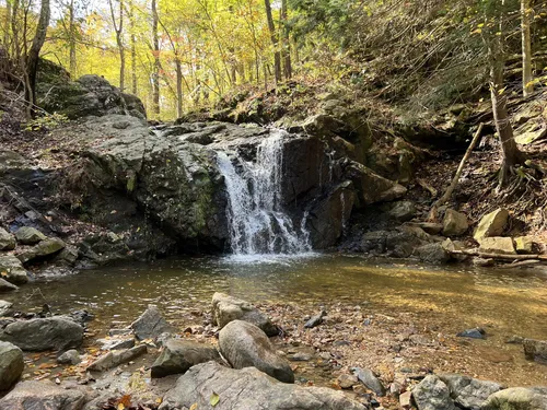 10 Best Waterfall Trails in Patapsco Valley State Park | AllTrails