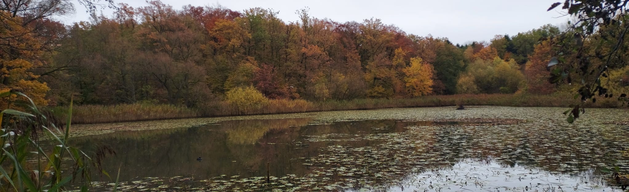 Charlottensee - Schloss Filseck - Faurndau, Baden-Wuerttemberg, Germany ...